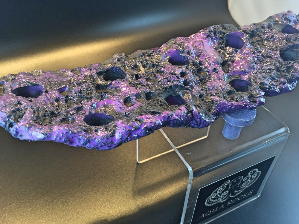 Magnetic 10 Holed Coral Shelf Rock Frag Display – New Wave Aquaria