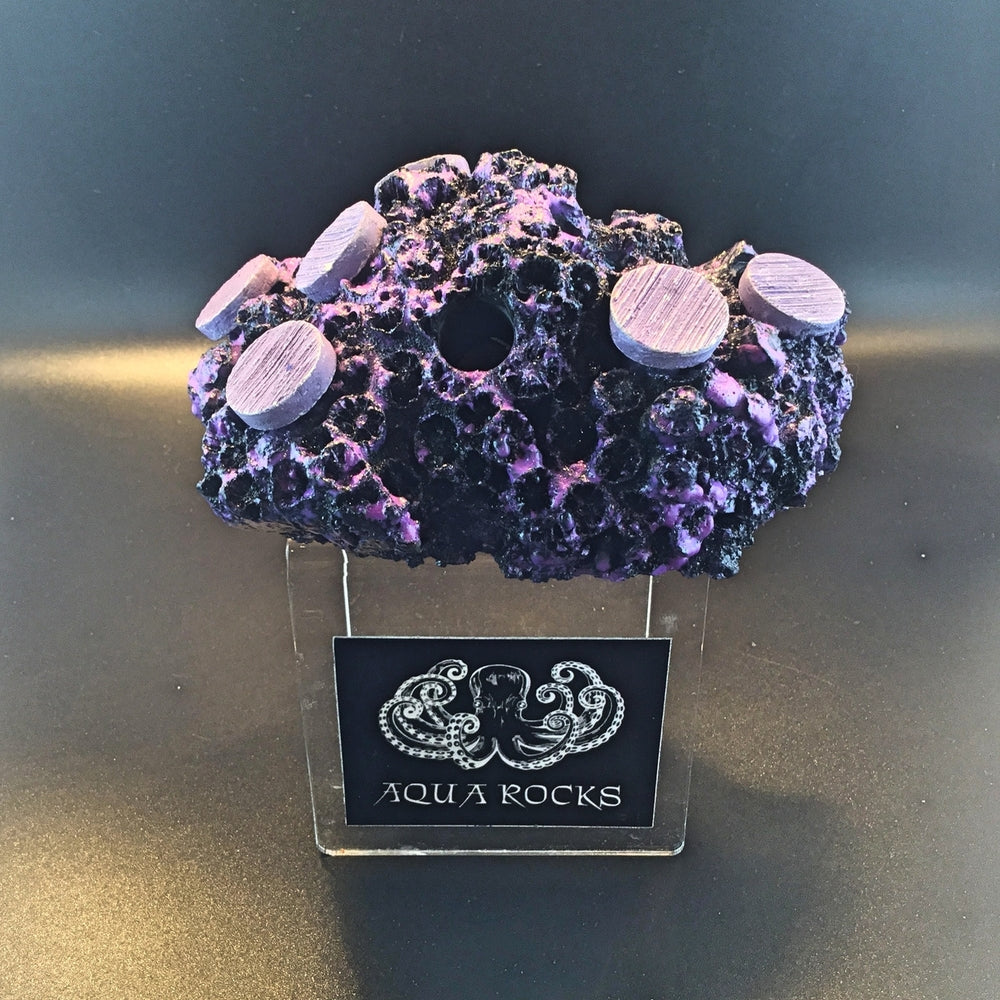 10 Holed Coral Sandbed Rock Frag Display - Aqua Rocks – New Wave Aquaria